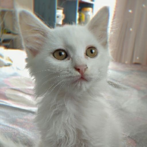 财猫生活 