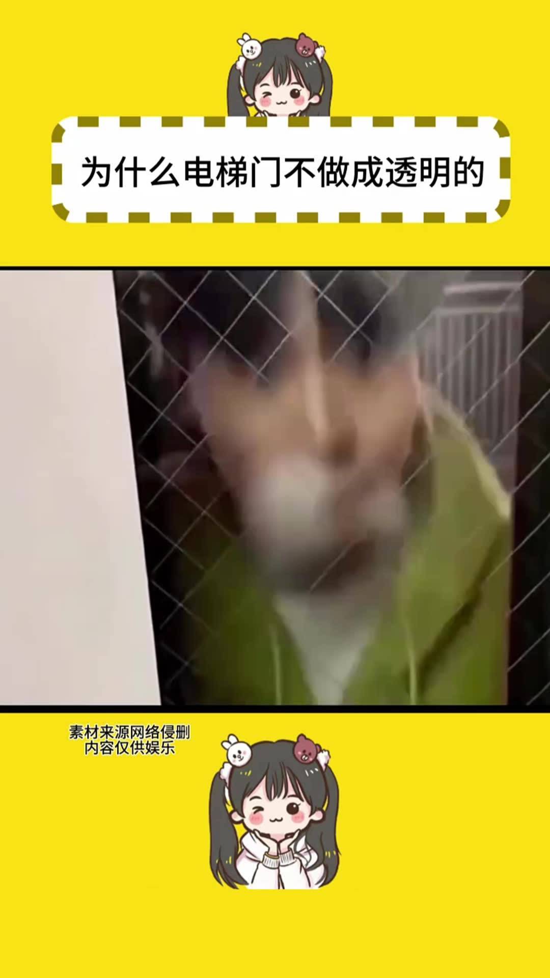 为什么电梯门不做成透明的