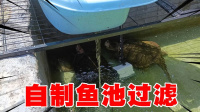 豆豆的猛宠日常 第8集 帅小伙废物利用,自制了1个强力的鱼池过滤器!