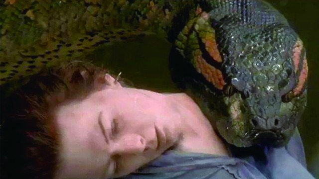 剧组到丛林拍摄,遇20米长的吃人巨蟒,来不及反应就被吞掉