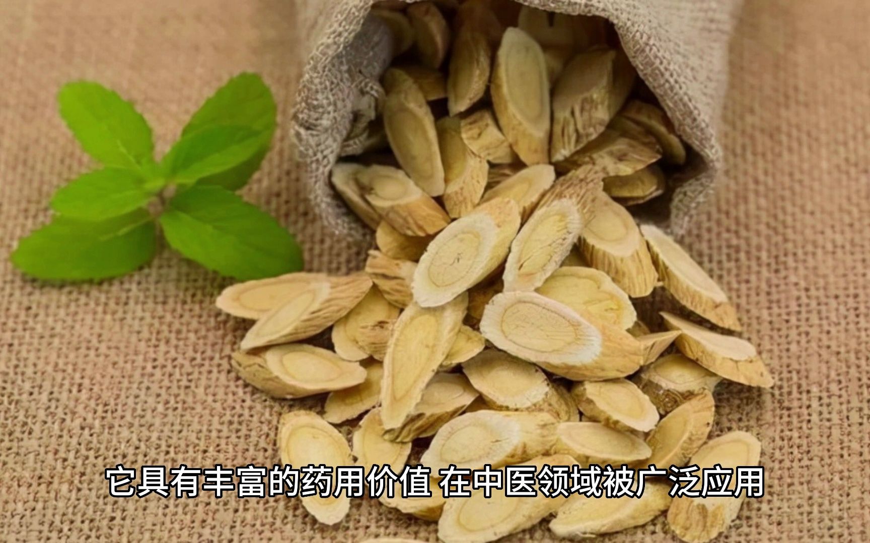 地黄的功效和作用主治