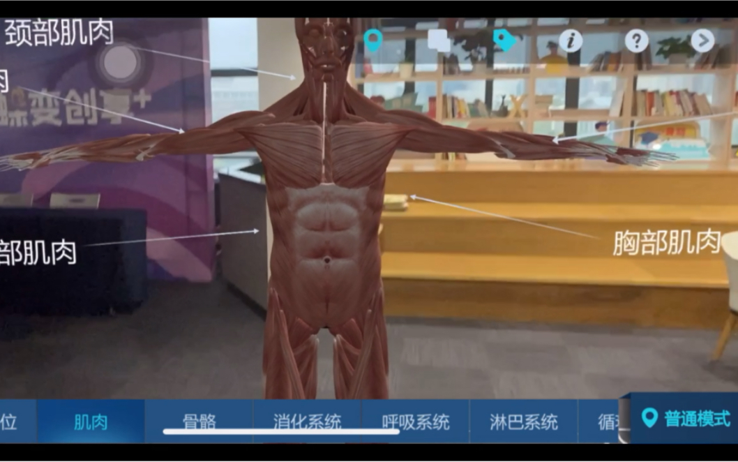 Unity3d人体解剖交互展示系统