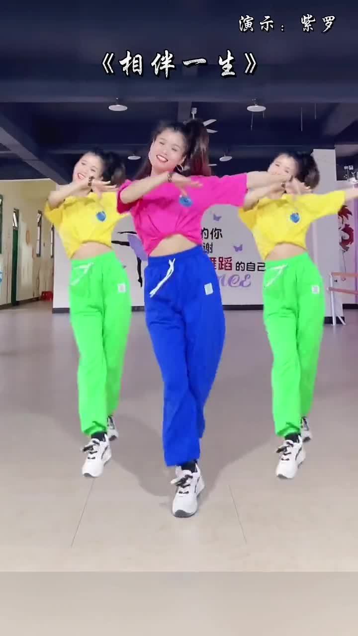 简单易学 适合初学者 简单的舞一学就会 零基础学舞蹈 最潮广场舞 .