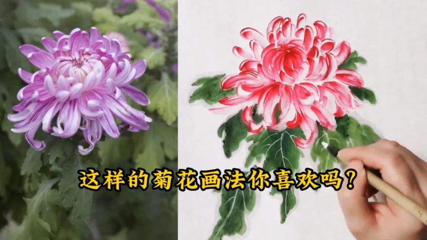 国画教程:你不可错过的,用特殊技法画菊花完整画法