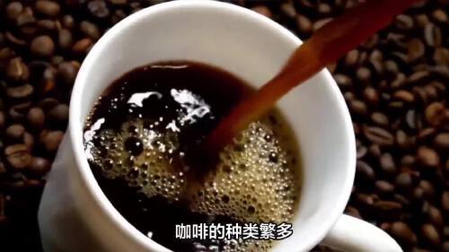 咖啡有哪些种类,如何区分和选择?