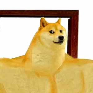哔站狗头君 