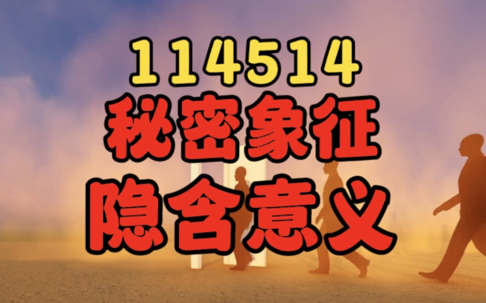 114514的秘密象征及其隐含意义