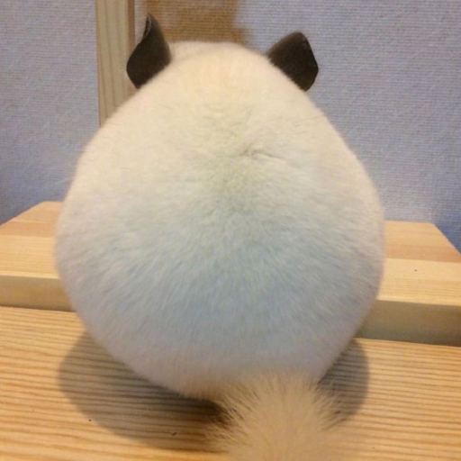大红袍能泡吗 