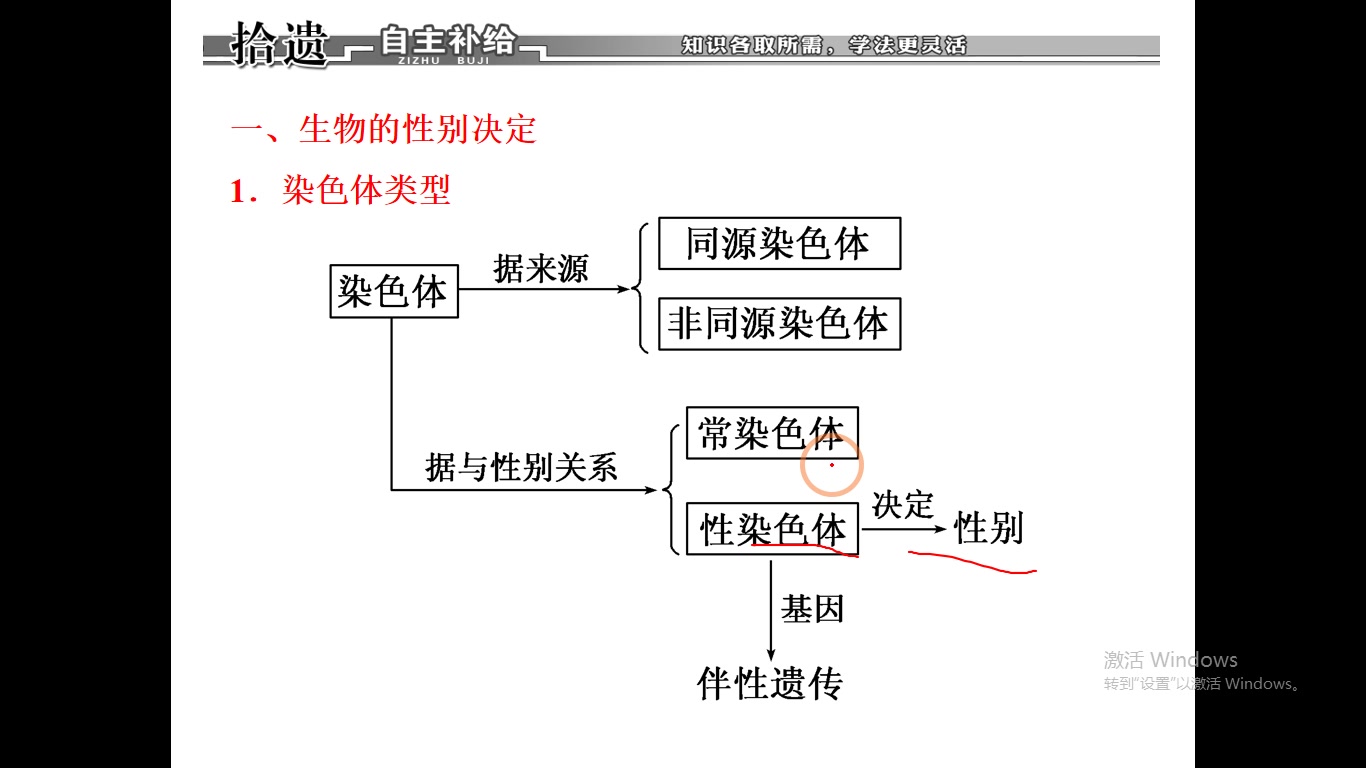 专题九 伴性遗传和人类遗传病