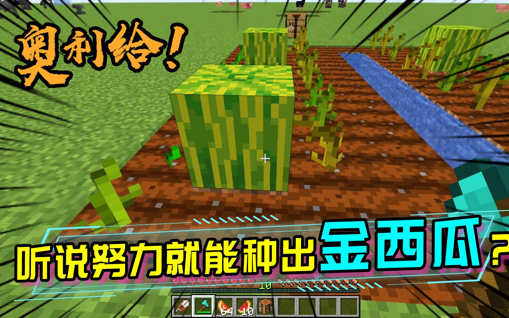 ...在凋零状态下杀死凋零骷髅,就有几率获得它手里的凋零之剑_我的世界