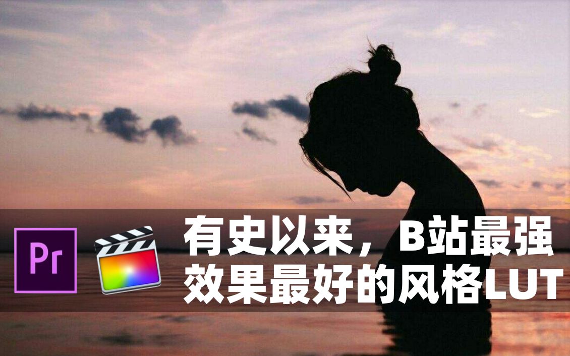 【B站最强LUT、林海音推荐】490美元的电影风格LUTs,LD出品,史上...