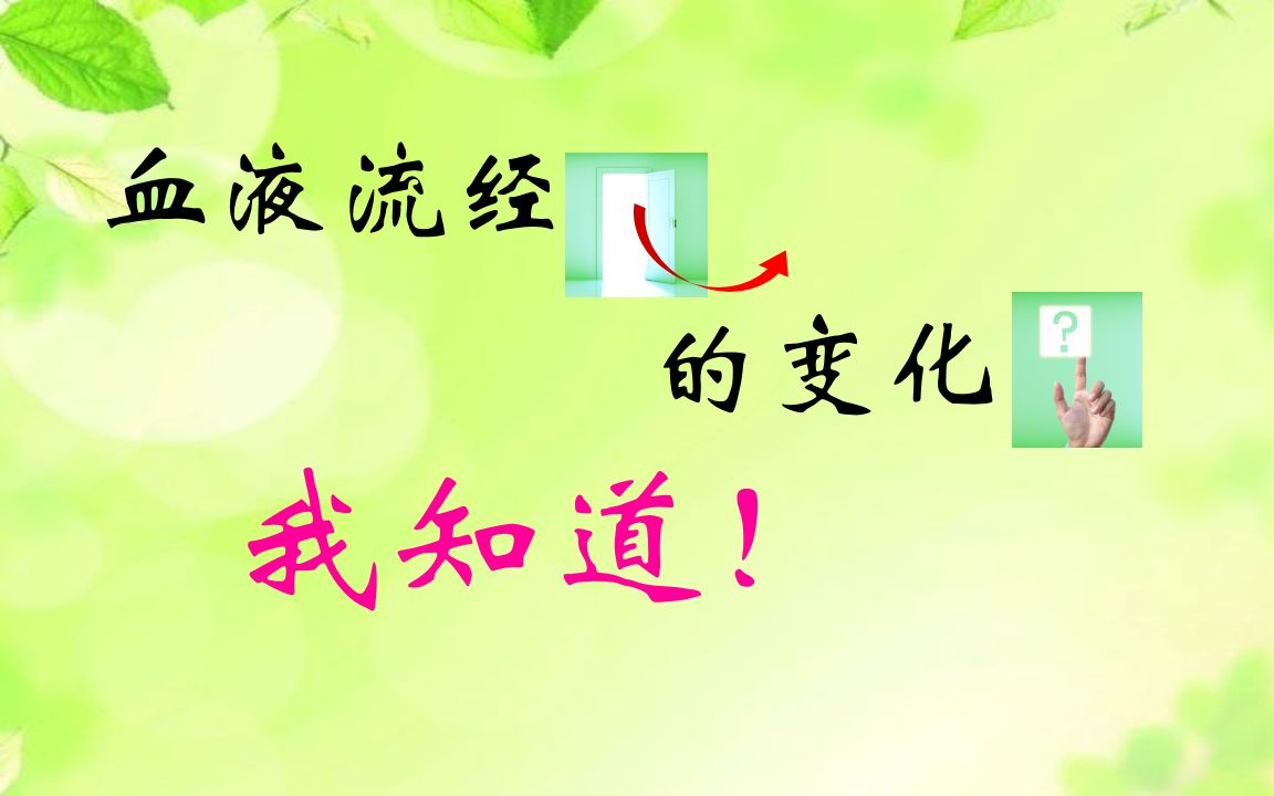 【难点突破】血液流经各器官成分的变化