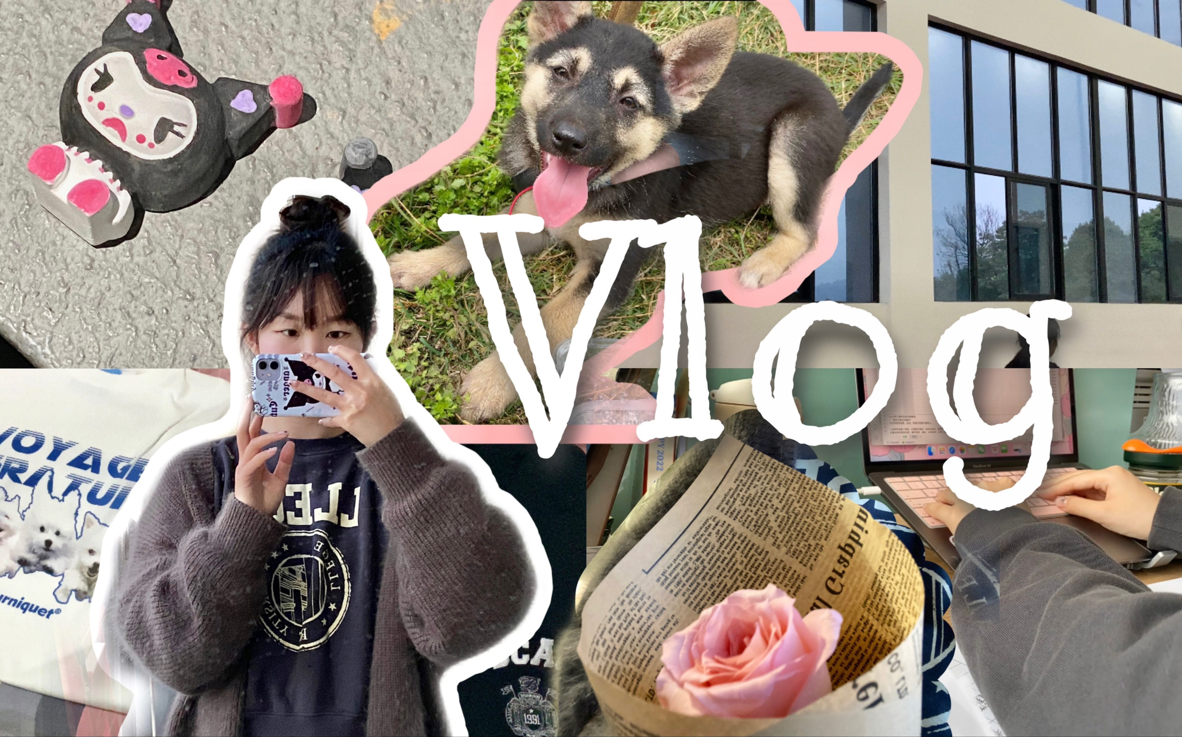 Vlog/法律硕士实习日志:记录春困中的快乐、忙碌片段;流浪狗狗们有家...
