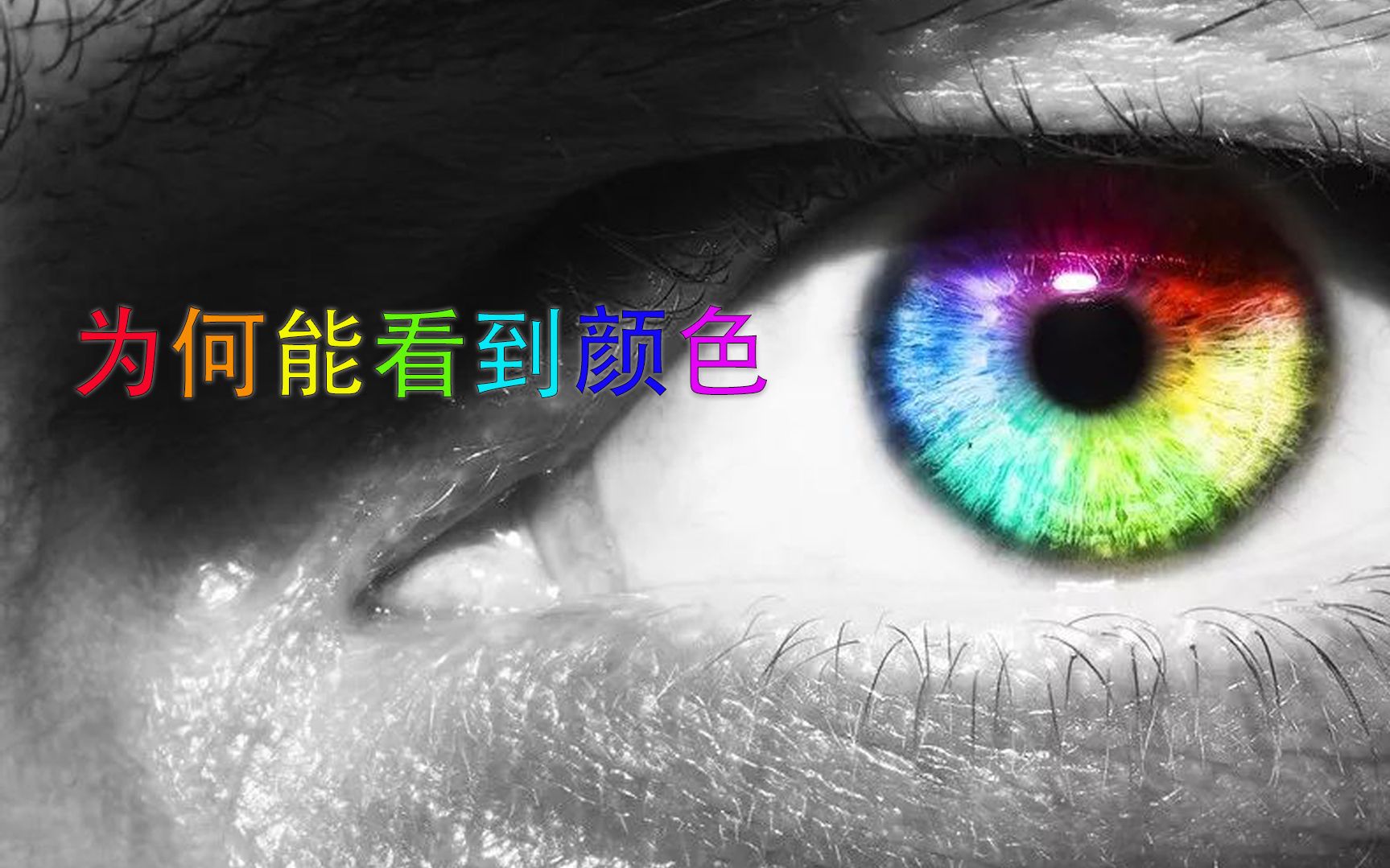 我们为什么能看到颜色?RGB CMYK又是什么?【爱来教程】