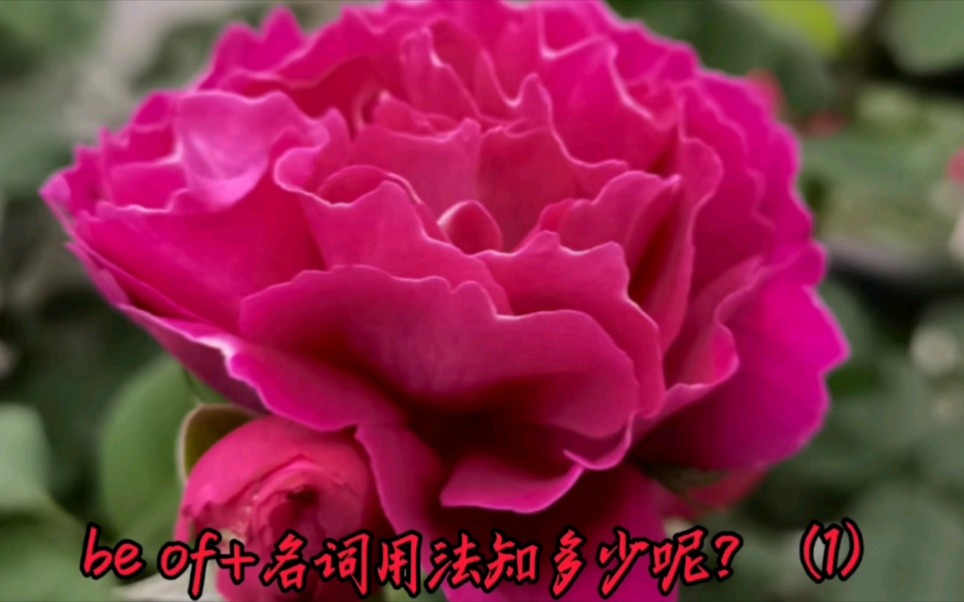 e of+名词用法知多少呢?(1)