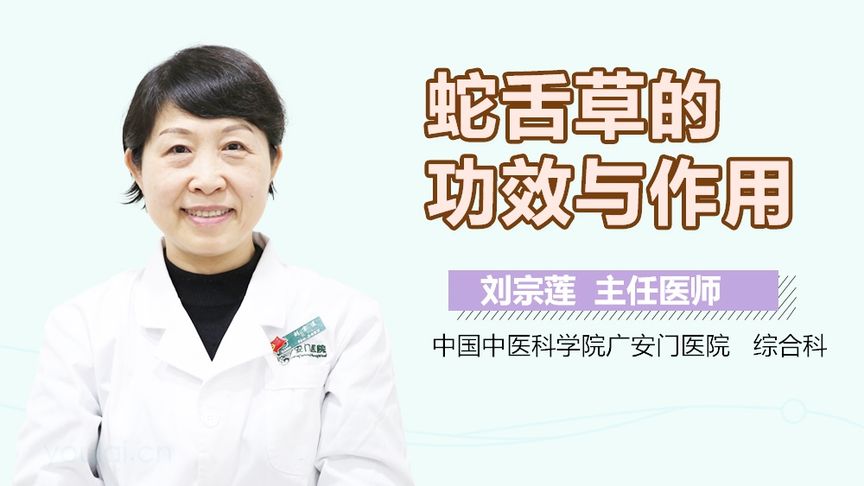 没想到,蛇舌草的功效有这么多,这则视频说得真详细,快来看!