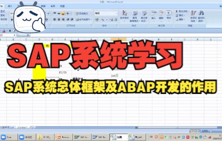 SAP从入门到精通 SAP系统总体框架及ABAP开发的作用