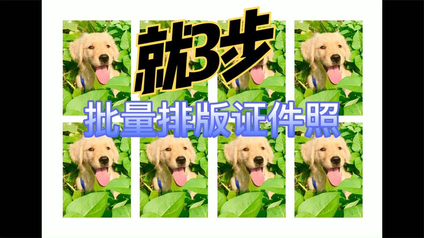 PS批量排版证件照,录个动作就搞定。