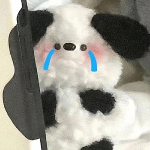 量贩装鸡汤圆 