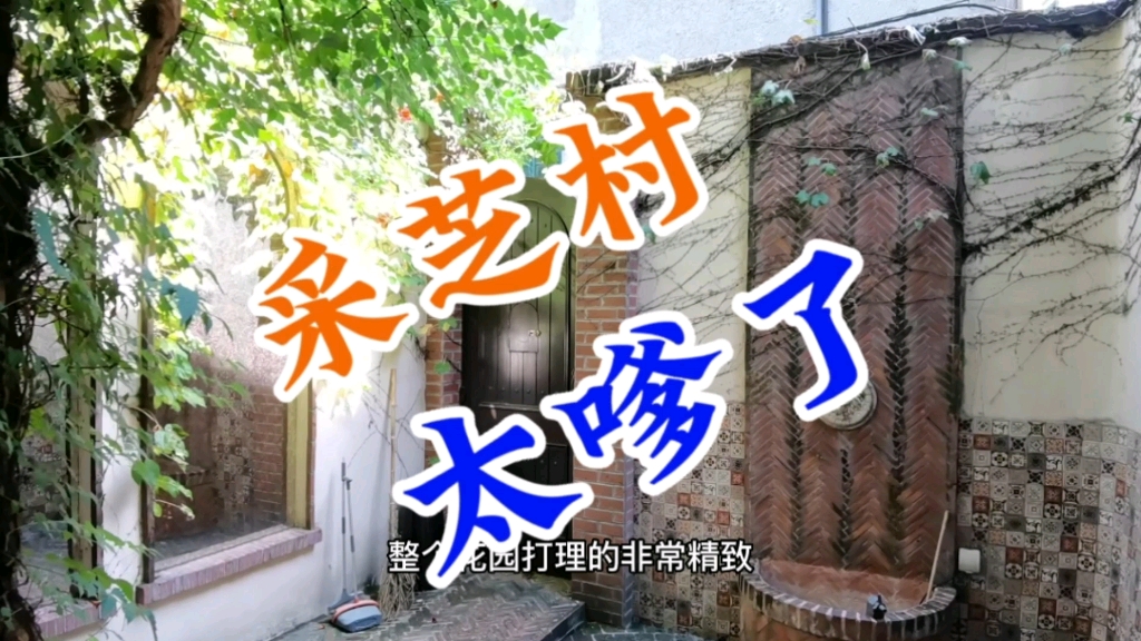 当凌霄花爬上屋顶,才更有老房子的味道,愚园路采芝村值得来看