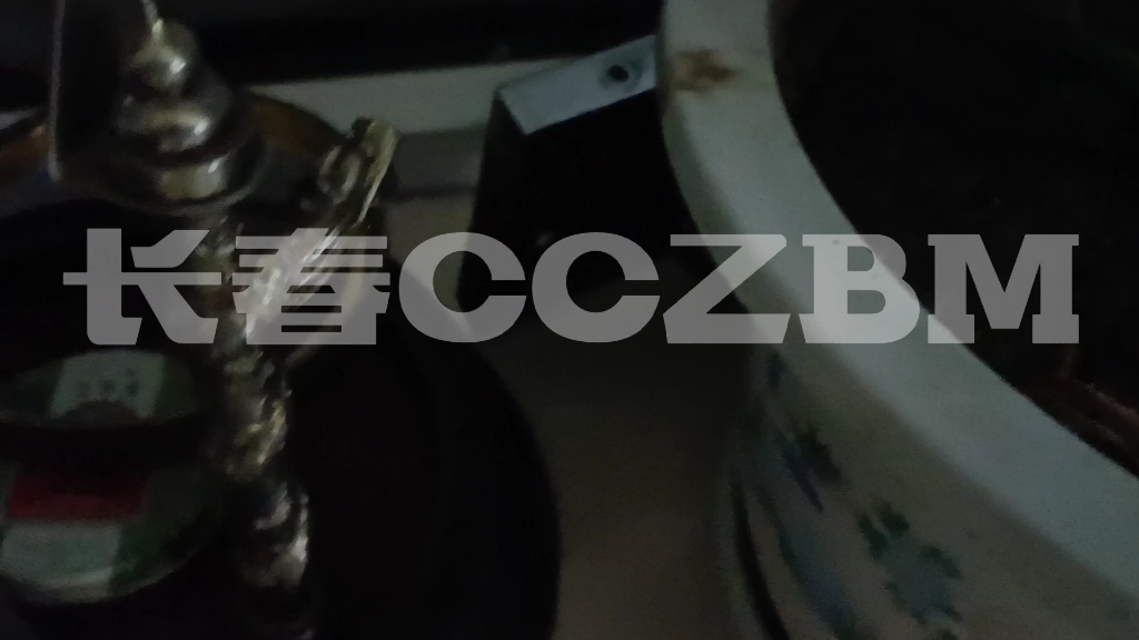 我家里面的所有10个钟表