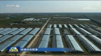 直播大全_CCTV节目官网_央视网 (1)