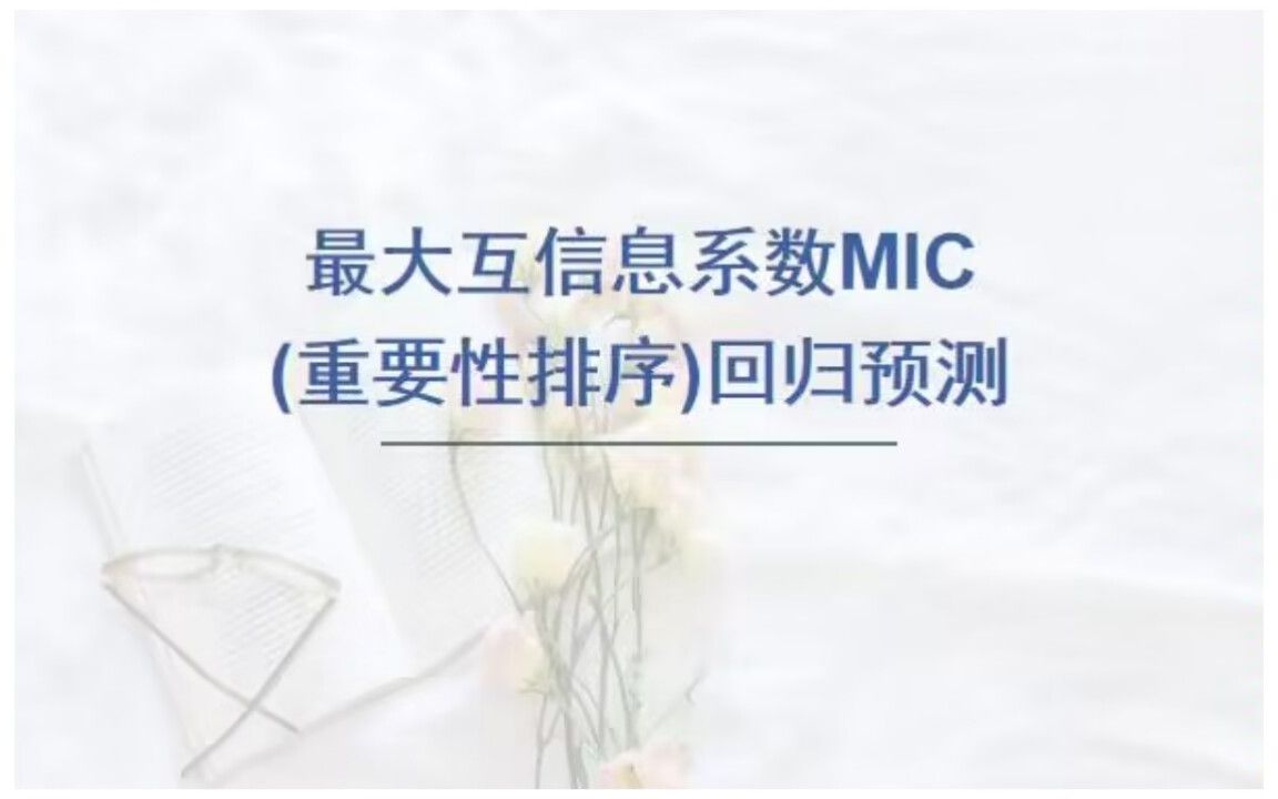 最大互信息系数MIC(数据特征选择算法)的回归预测,多输入单输出模型。