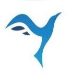 YizhenQ 