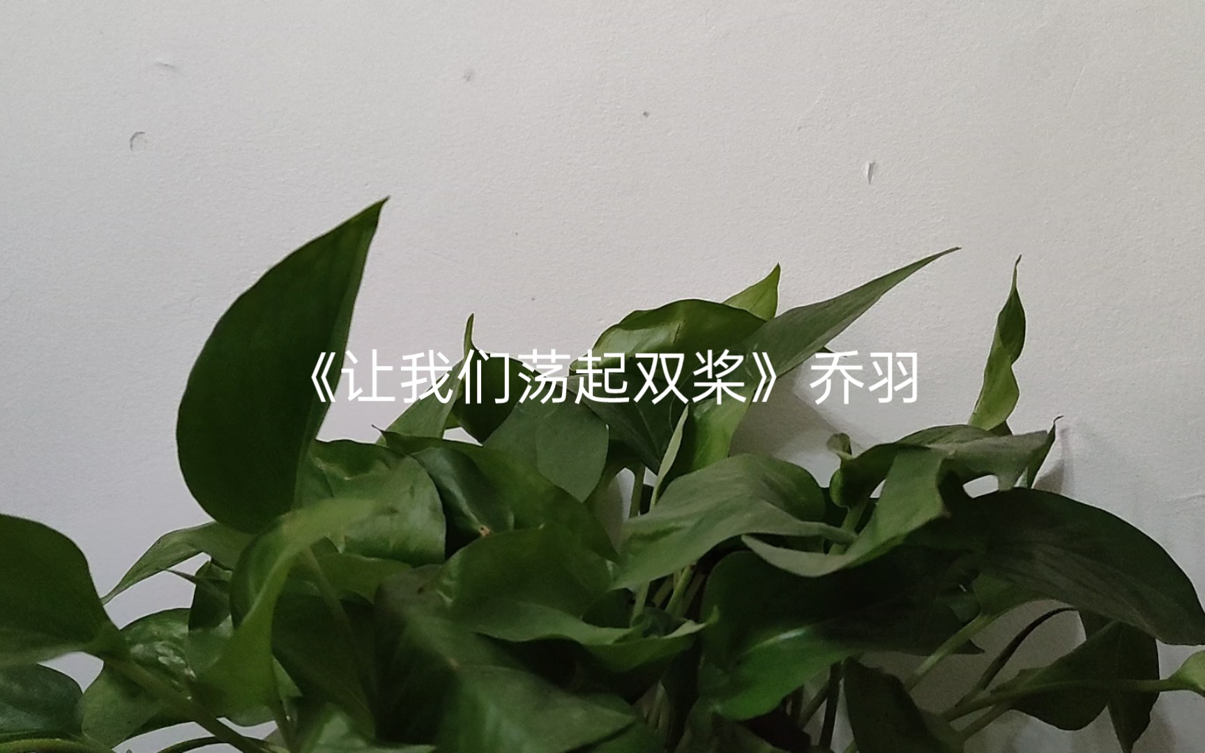 《让我们荡起双桨》 乔羽 唯美歌词