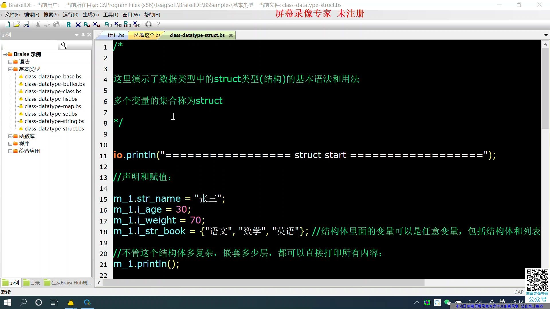 braise公开分享12_基本类型_struct
