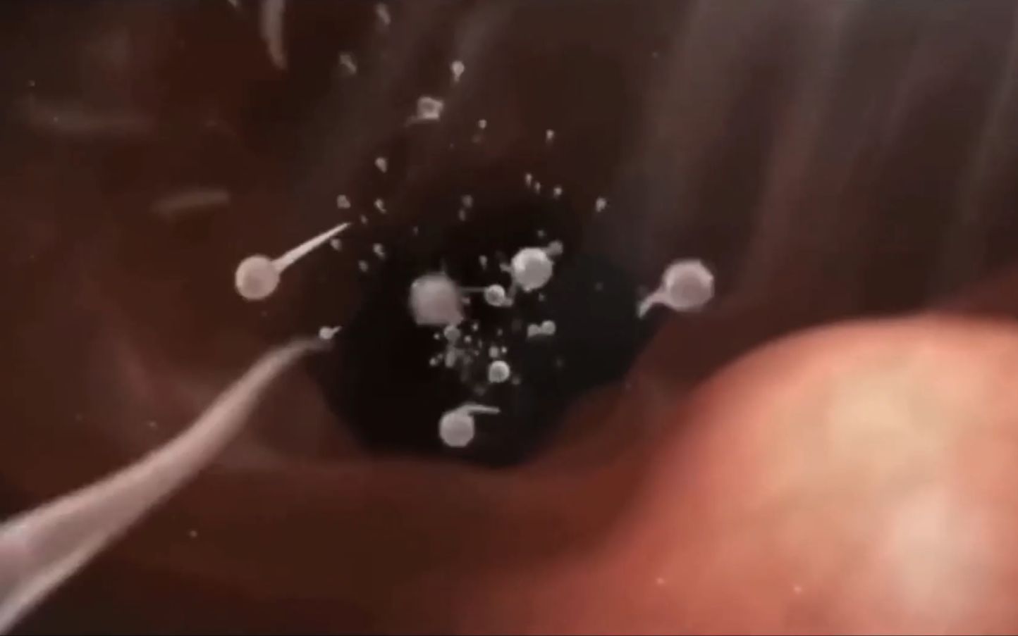 [科普/1080]实在搞不懂日本人,一个卵子受精动画做的这么催泪干嘛?[...