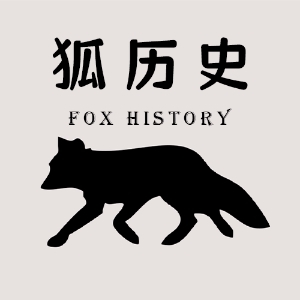 一个历史观察者 
