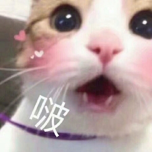 Wenkang 