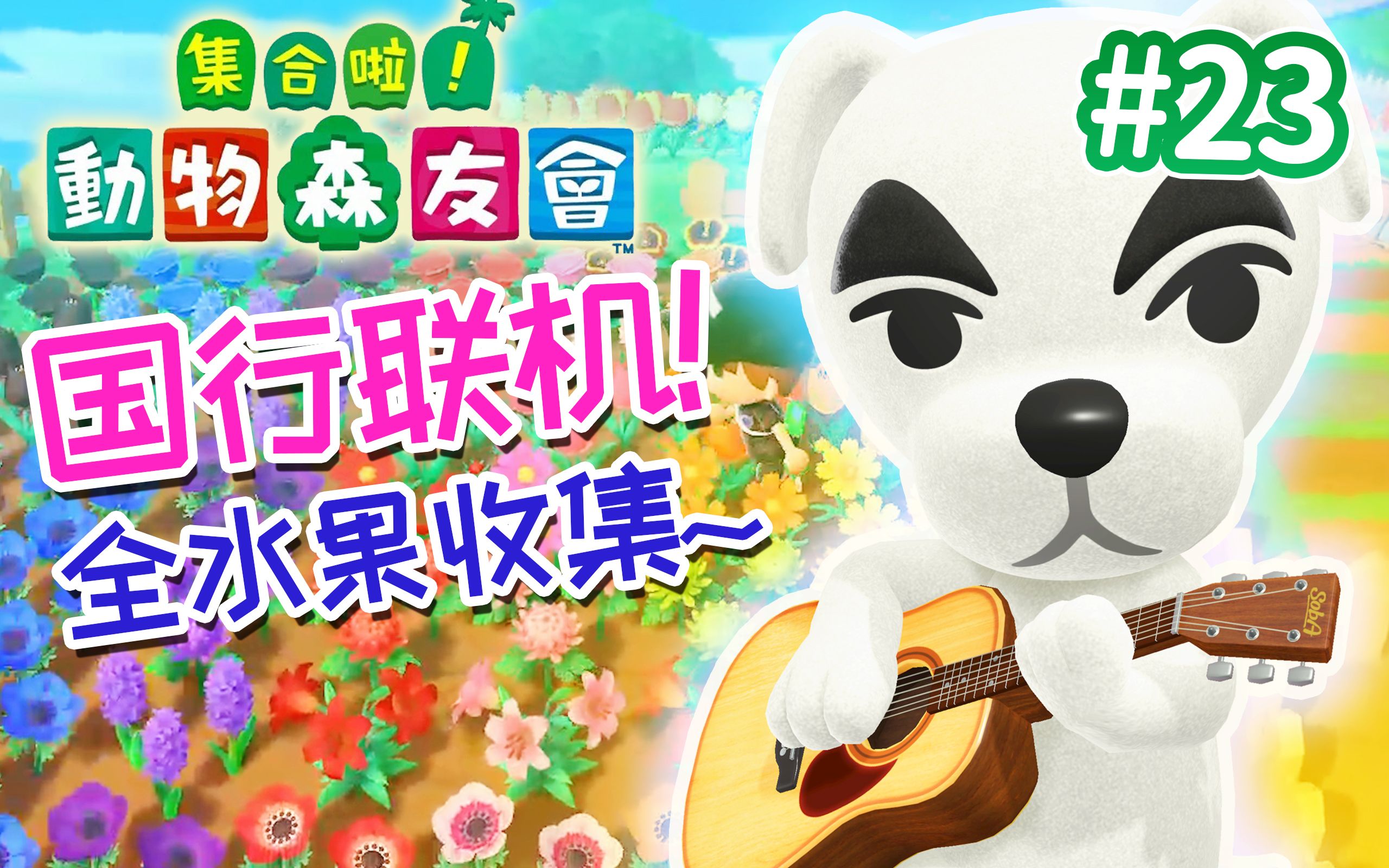 【动森】国行也能联机!全水果收集完成啦!| Animal Crossing 集合啦!...