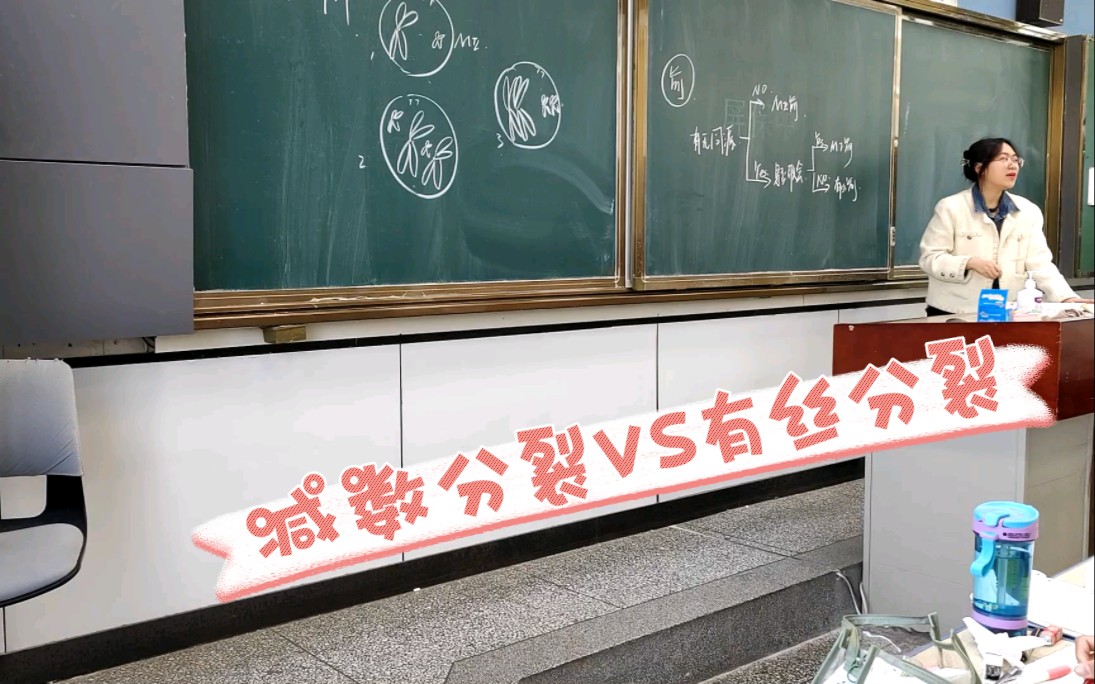 减数分裂和受精作用(第3课时)细胞图像+折线图+柱状图