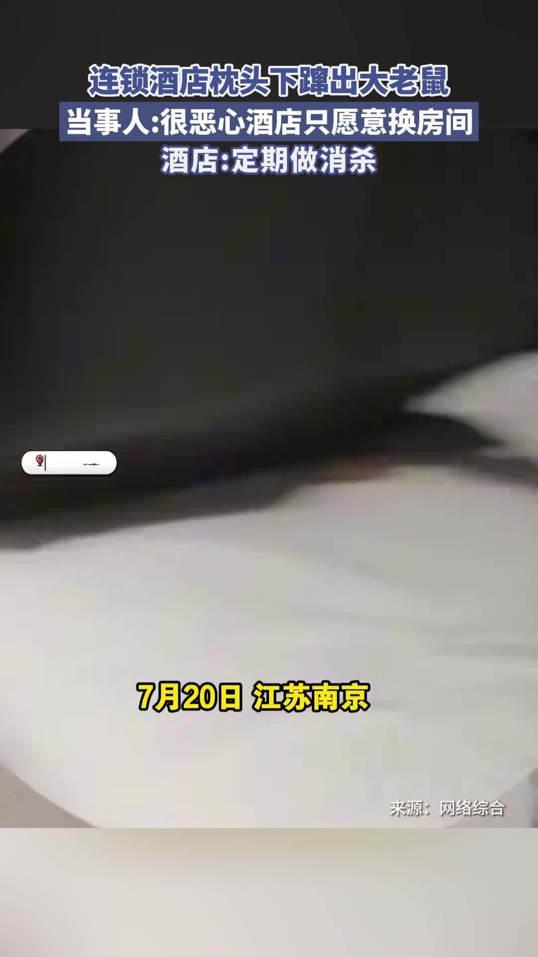 连锁酒店枕头下蹿出大老鼠,当事人很恶心,酒店只愿意换房间