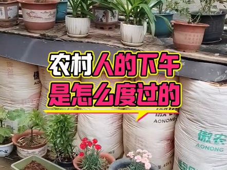 斩草除根的下午,忙碌又幸福的度过