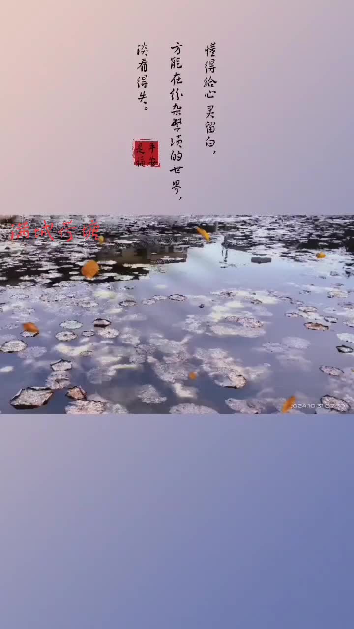 ...将繁华深深的插进了 泥水中 偶尔 不知趣的秋风 也打情骂俏 拍打着...