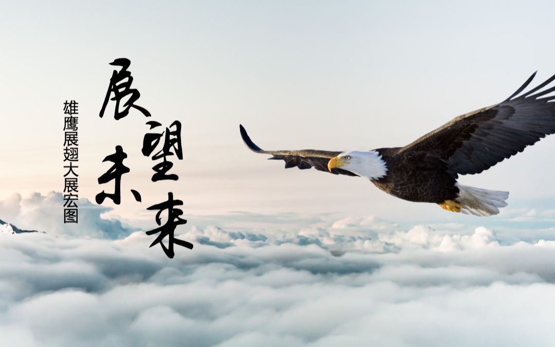 展望未来大展飞鹰企业发展目标PPT模版