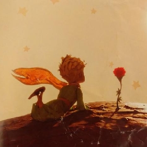 被一朵花驯服的我 