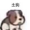 看腿腿的蜡笔小新 