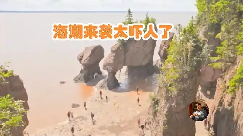 难以想象潮涨潮落时海岸水位变化竟有这么恐怖