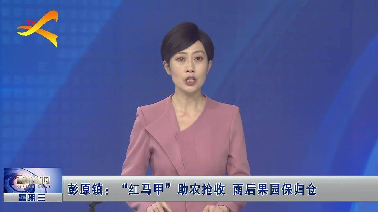 彭原镇:"红马甲"助农抢收雨后果园保归仓(记者:左晗视频编辑:田媛)