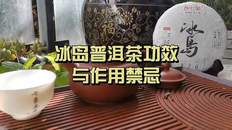 冰岛普洱茶功效与作用禁忌