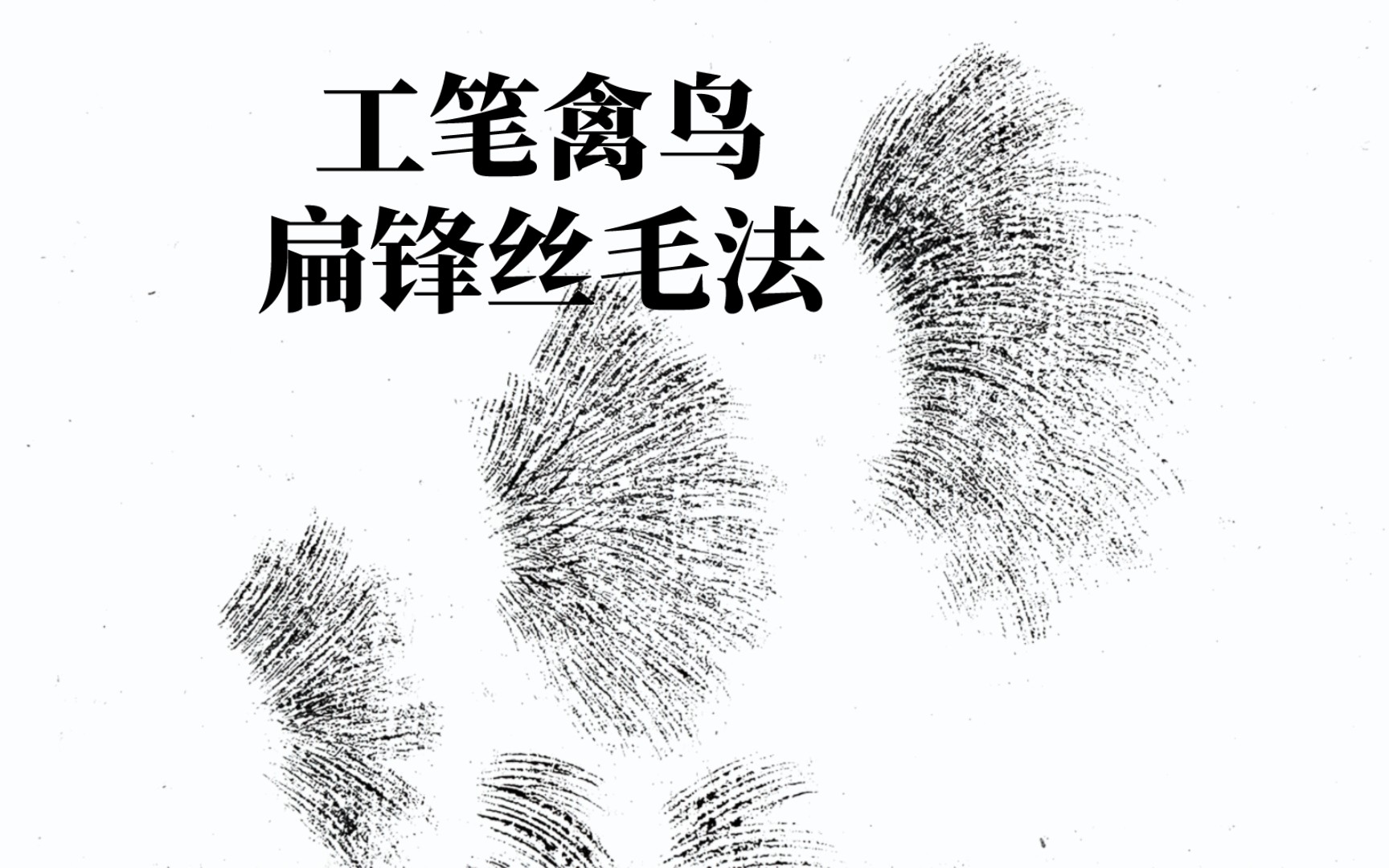国画工笔禽鸟丝毛技法,扁锋丝毛法技巧要点讲解,披毛法用笔方法教程