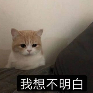 果子厘哩哩哩哩哩哩哩 