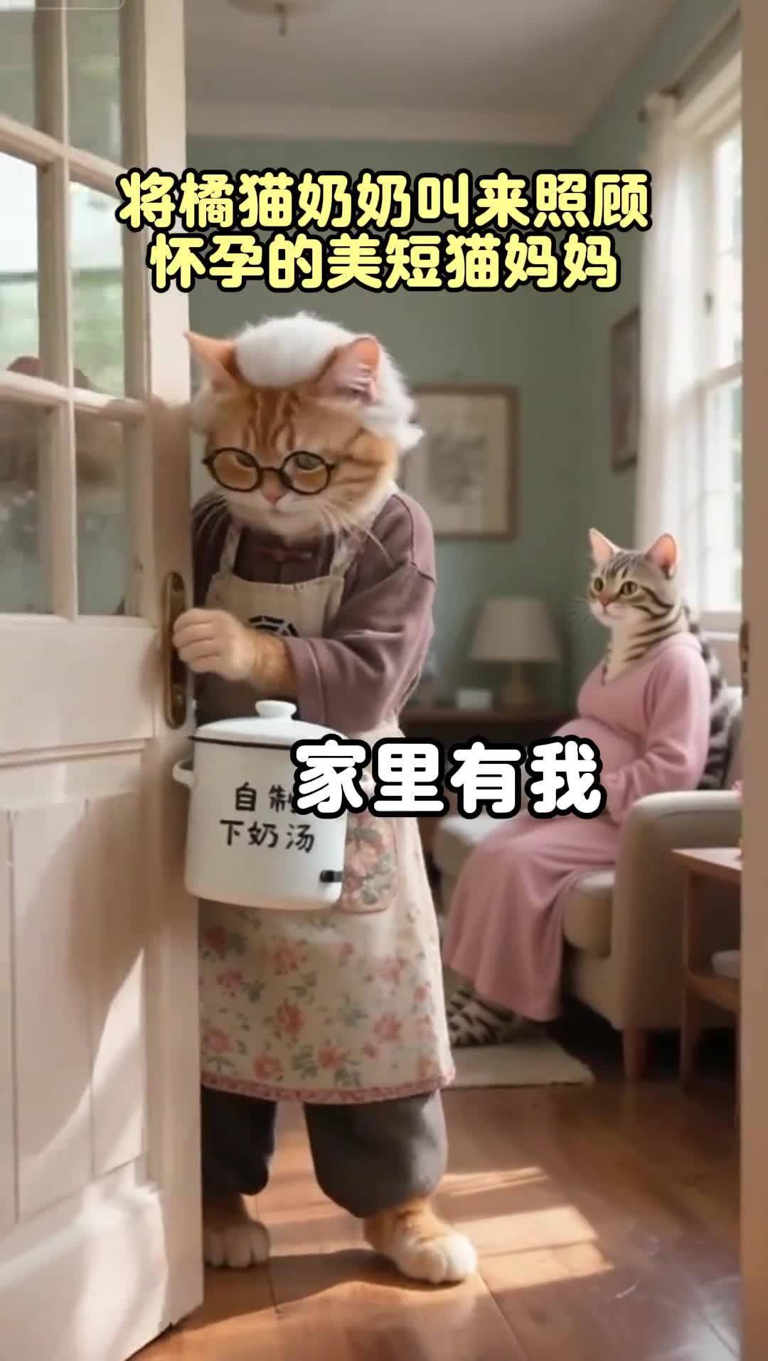 动漫:怀孕遇到迷信婆婆,幸好丈夫明事理