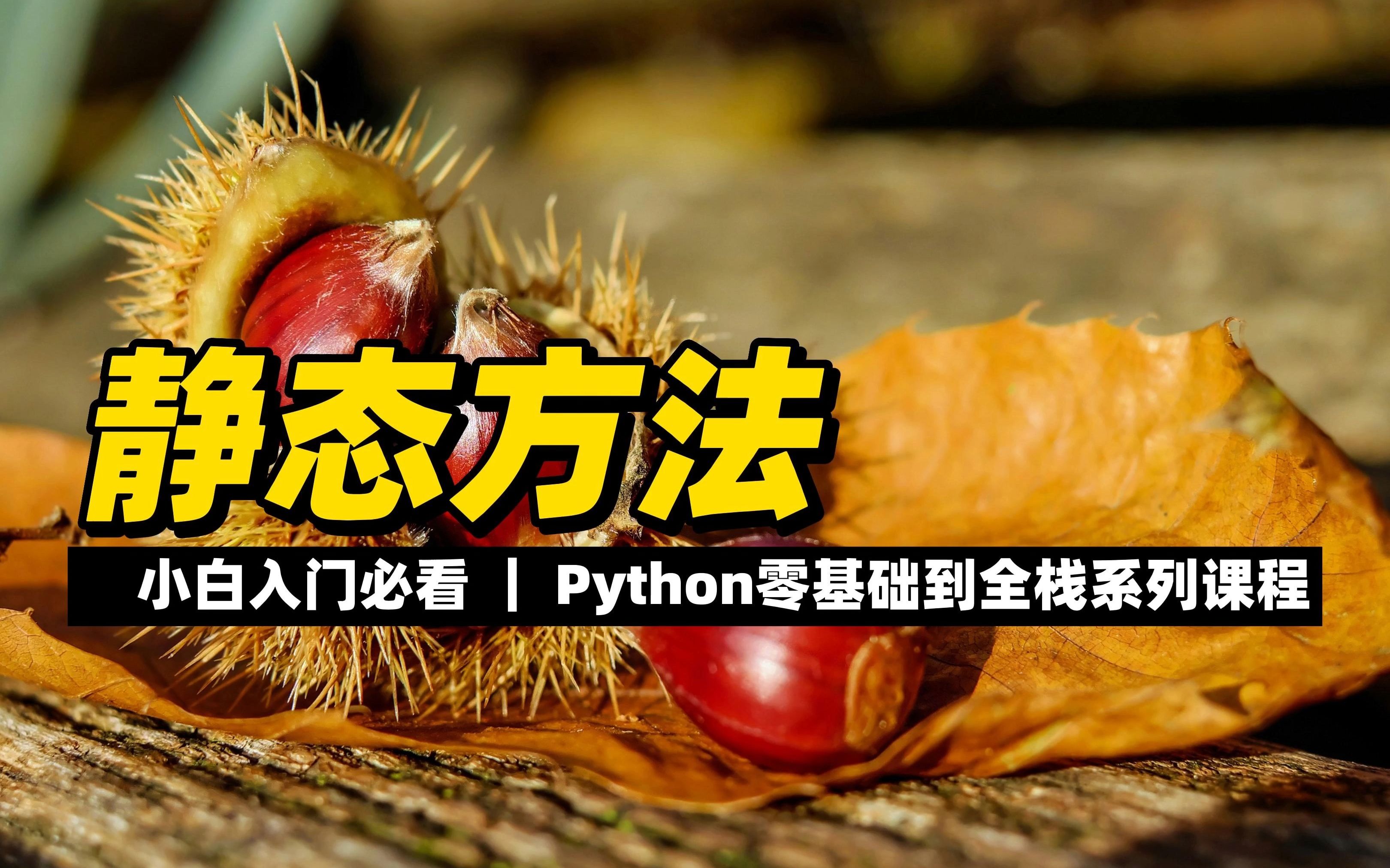 静态方法 - 《Python零基础到全栈系列》