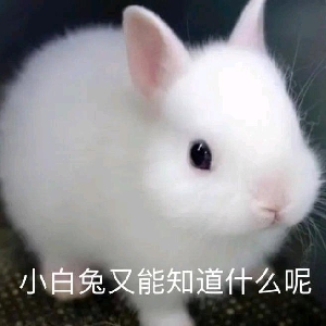 橙多宝不饱 