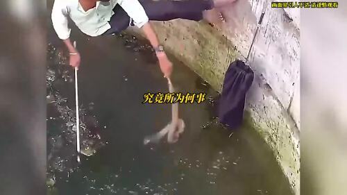 男子倒挂模仿蝙蝠爆笑全场!动物世界的奇妙瞬间让你笑到停不下来